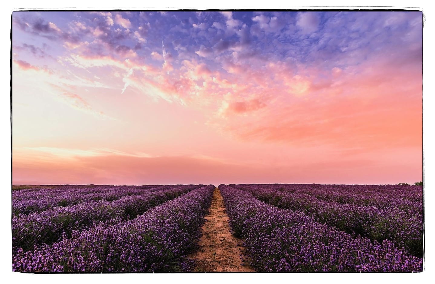 Understanding Printing Color Rendering Intents - shutterbugacademy.net