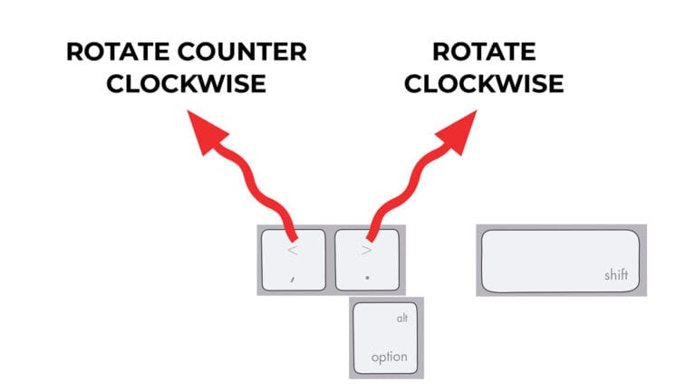 Photoshop Tips: How to Rotate, Flip and Use the Clone Stamp Tool ...